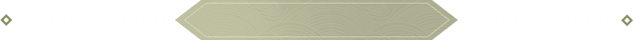 point-bg_29750d3.png (908×58)